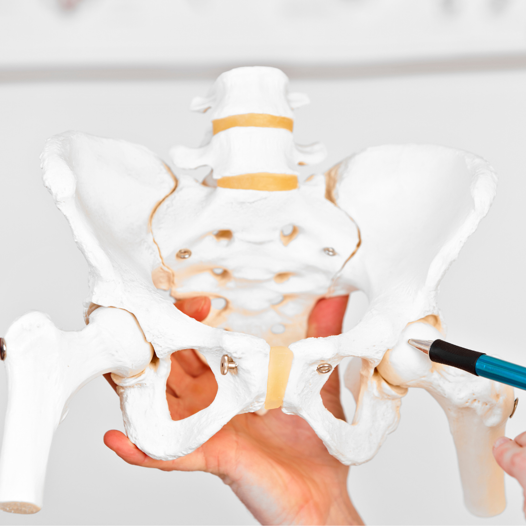 Chronic Hip Pain: Platelet Rich Plasma Injections (PRP) - OPDAHL ...